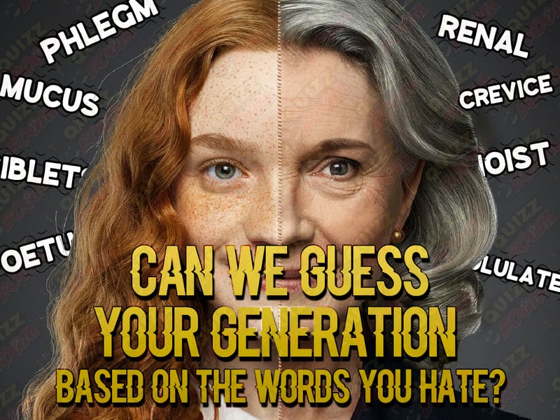 Can We Guess Your Generation Based on The Words You Hate?