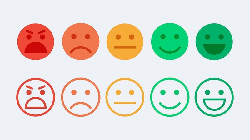 The Emotional Identity Test: What Emotion Are You? 14